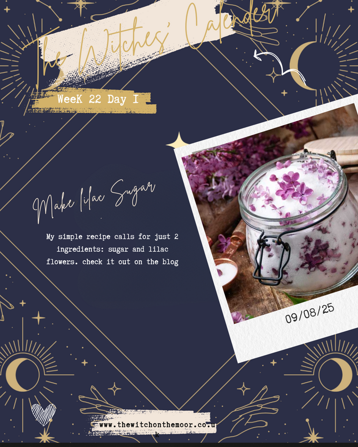 The Witches' Calender – The Witch On The Moor